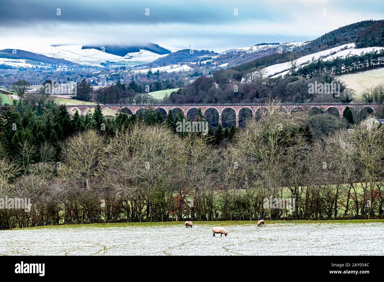 Leaderfoot Viaduct High Resolution Stock Photography and Images - Alamy