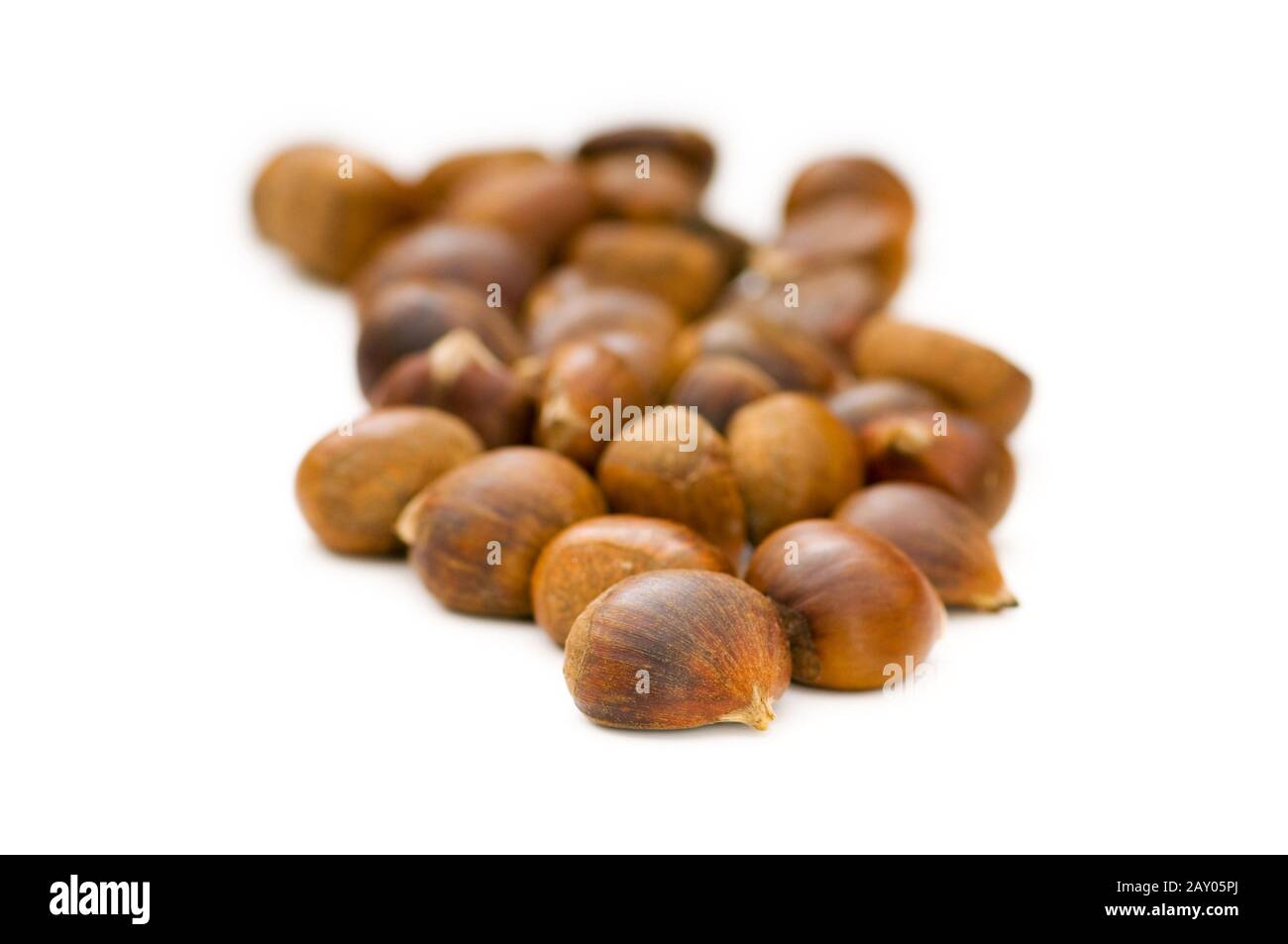 Many chestnuts isolated on the white background Stock Photo - Alamy