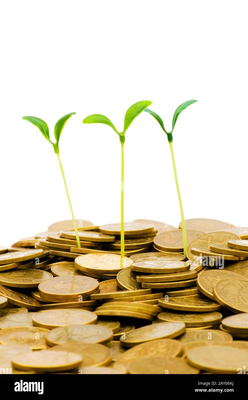 Green seedling growing from the pile of coins Stock Photo - Alamy