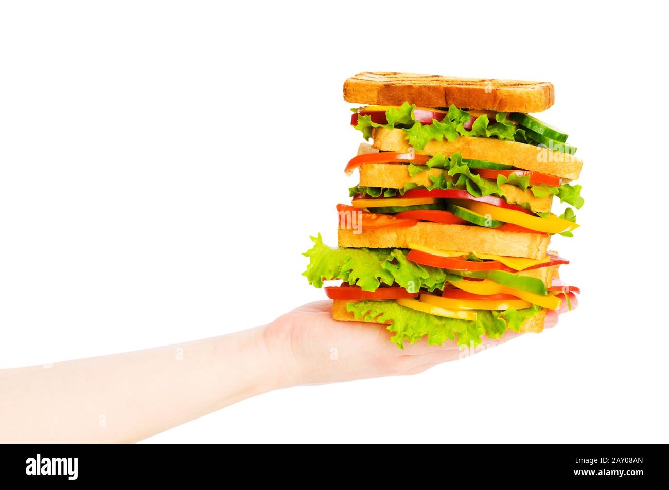 Hand holding sandwich isolated on the white background Stock Photo - Alamy