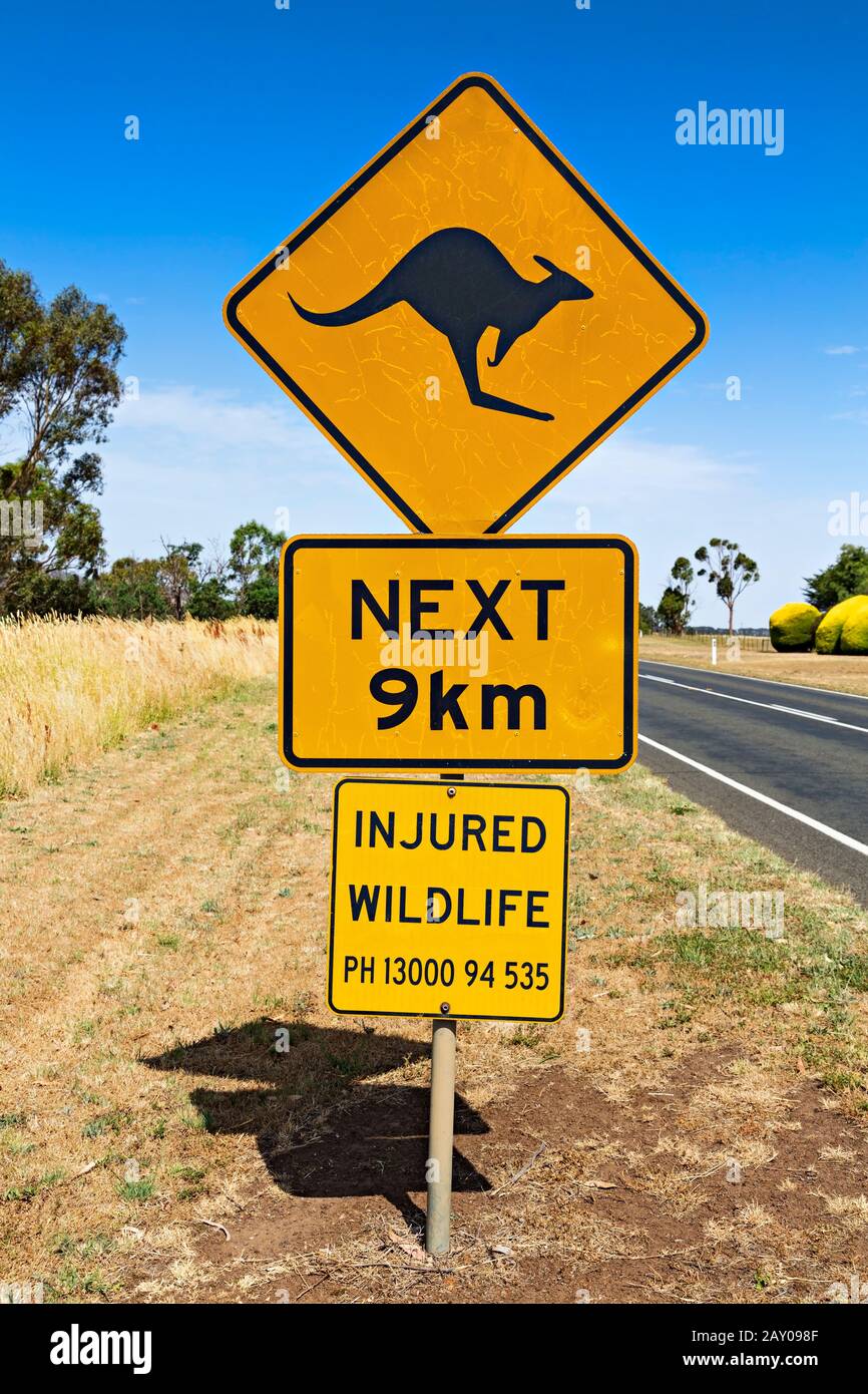 Kangaroo warning sign at roadside hi-res stock photography and images ...