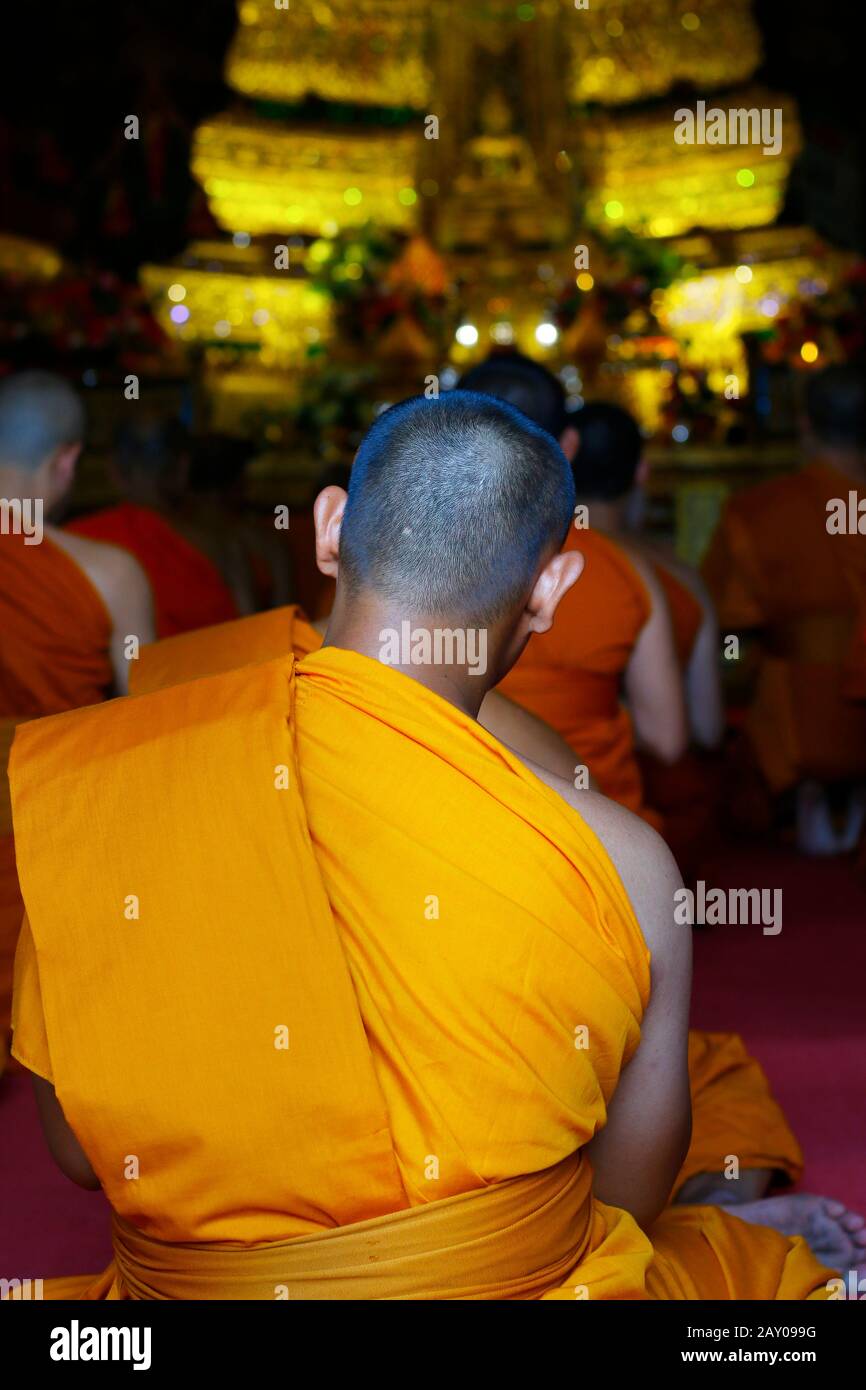 heads of monk praying in buddhist temple Stock Photo - Alamy