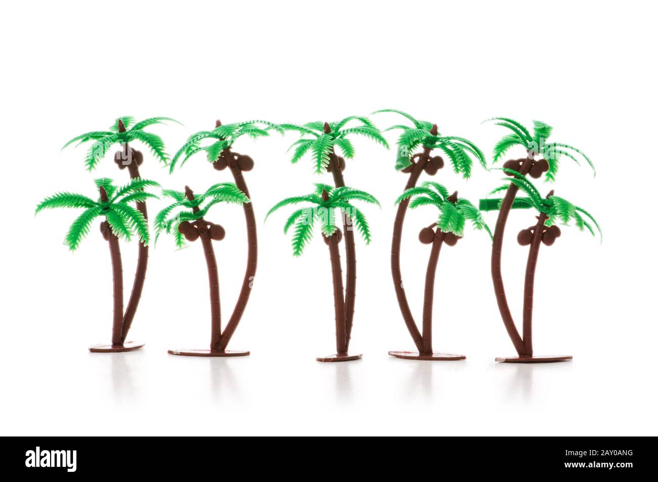 Figure of palm tree isolated on white Stock Photo - Alamy