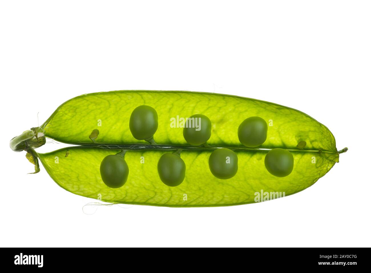 Detail of a pea pod Stock Photo - Alamy