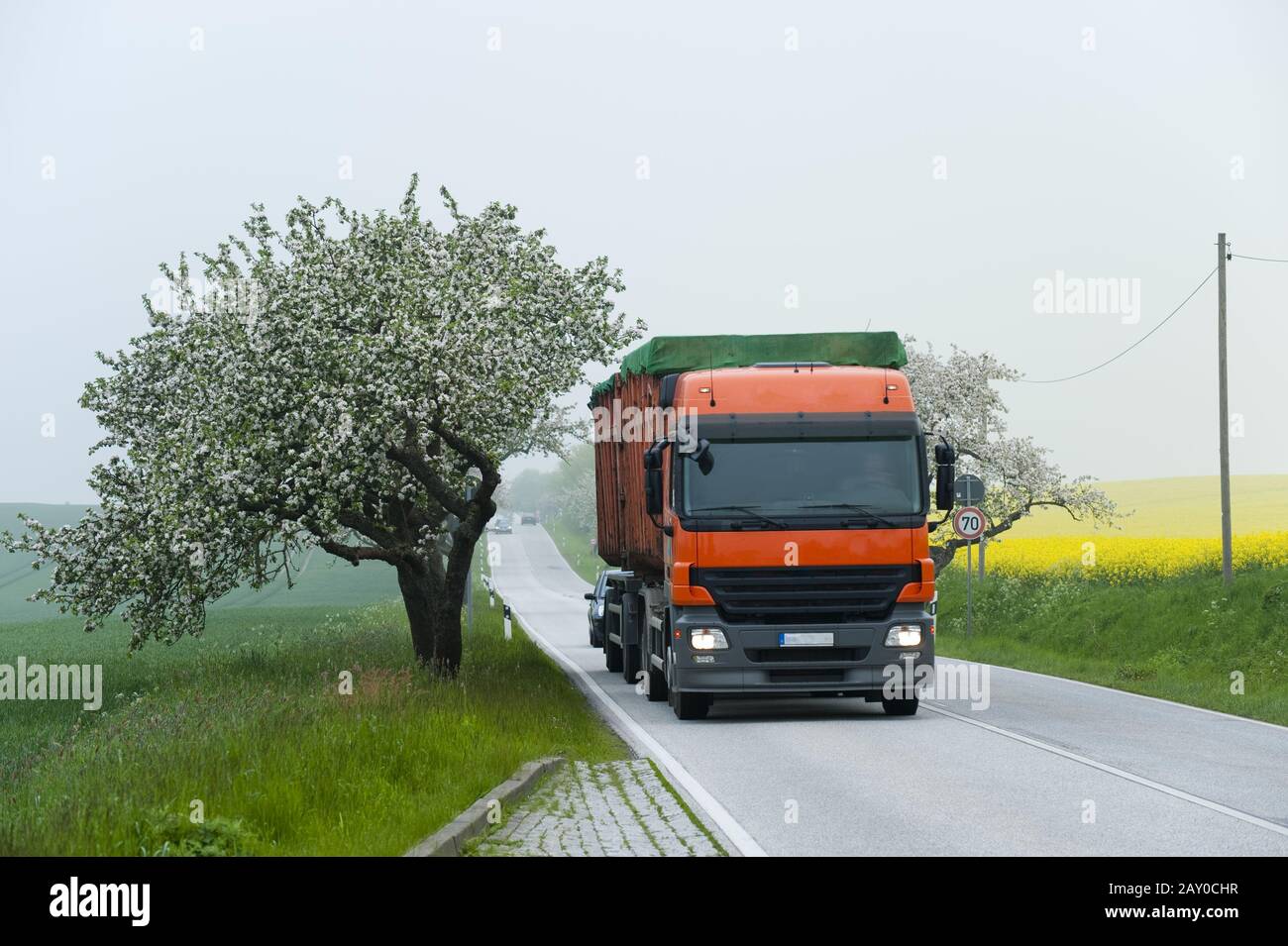 Truck trees hi-res stock photography and images - Alamy