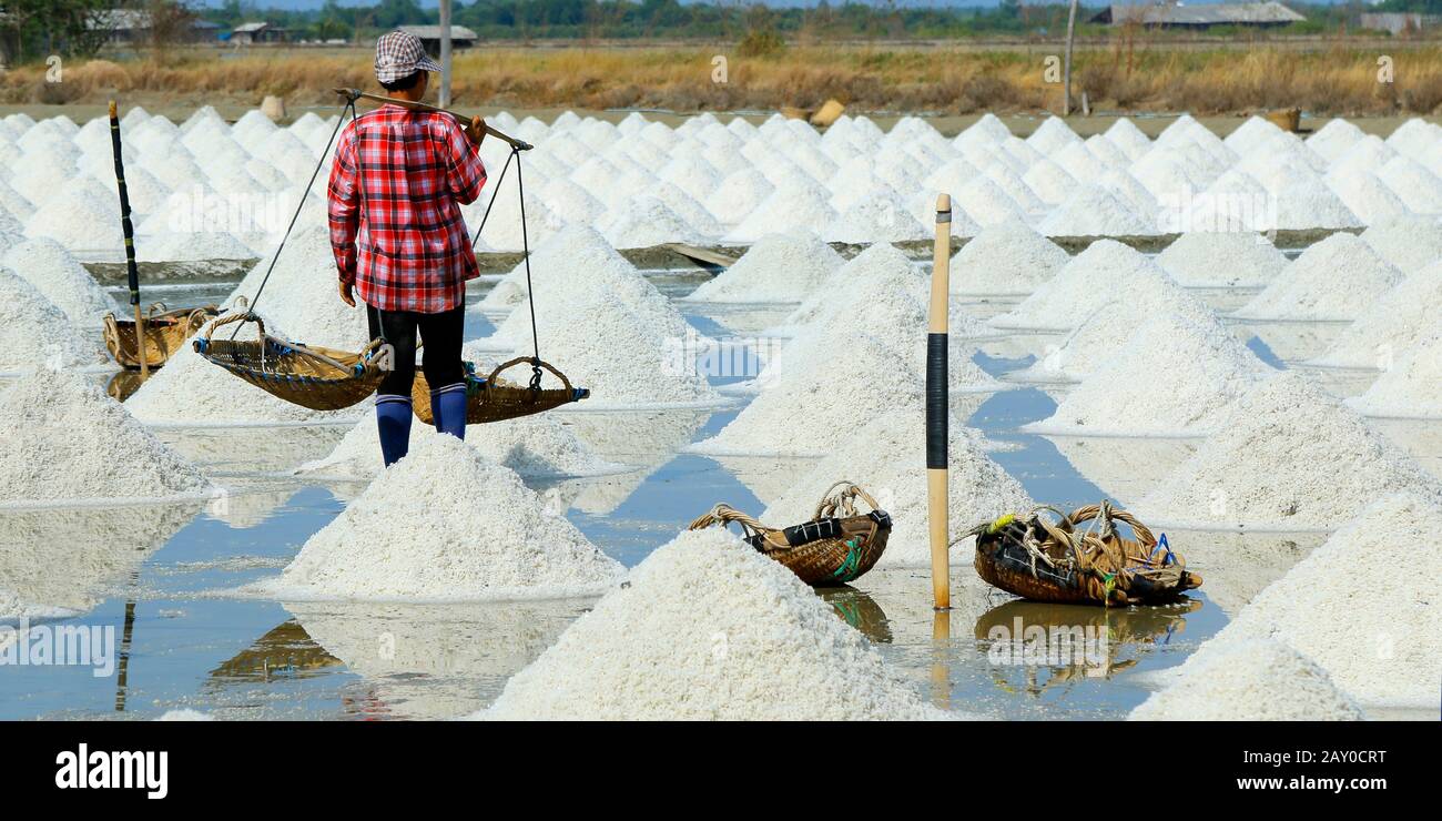 Worker Harvesting salt in salt field at Ban Laem-Thailand Stock Photo ...