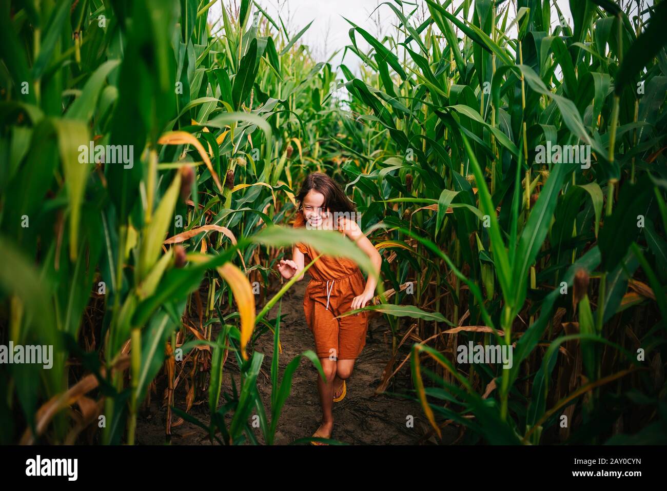 Girl running through a corn field, USA Stock Photo - Alamy