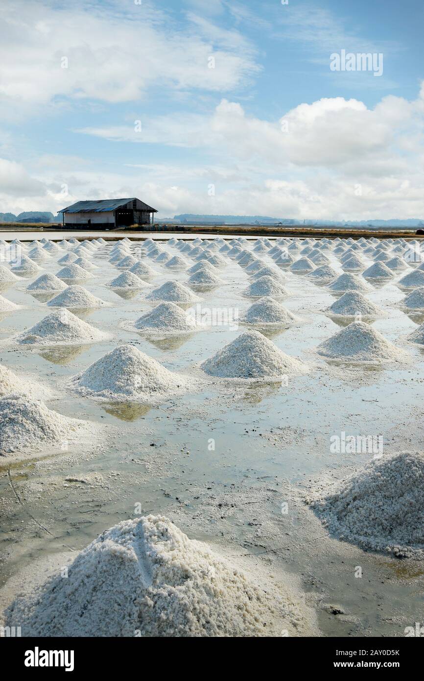 Salt harvest field fields hi-res stock photography and images - Alamy