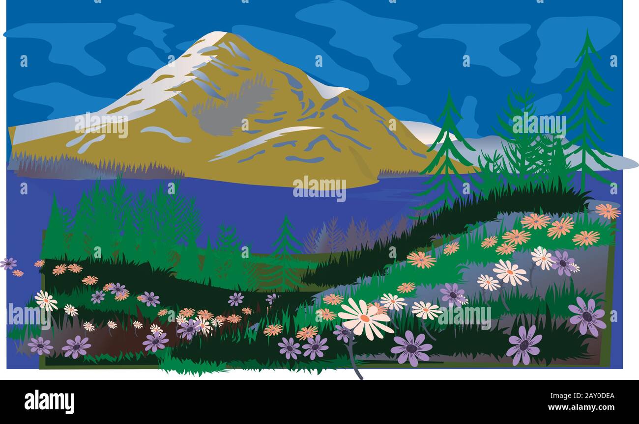 Beautiful view summer night sky Stock Vector Images - Alamy