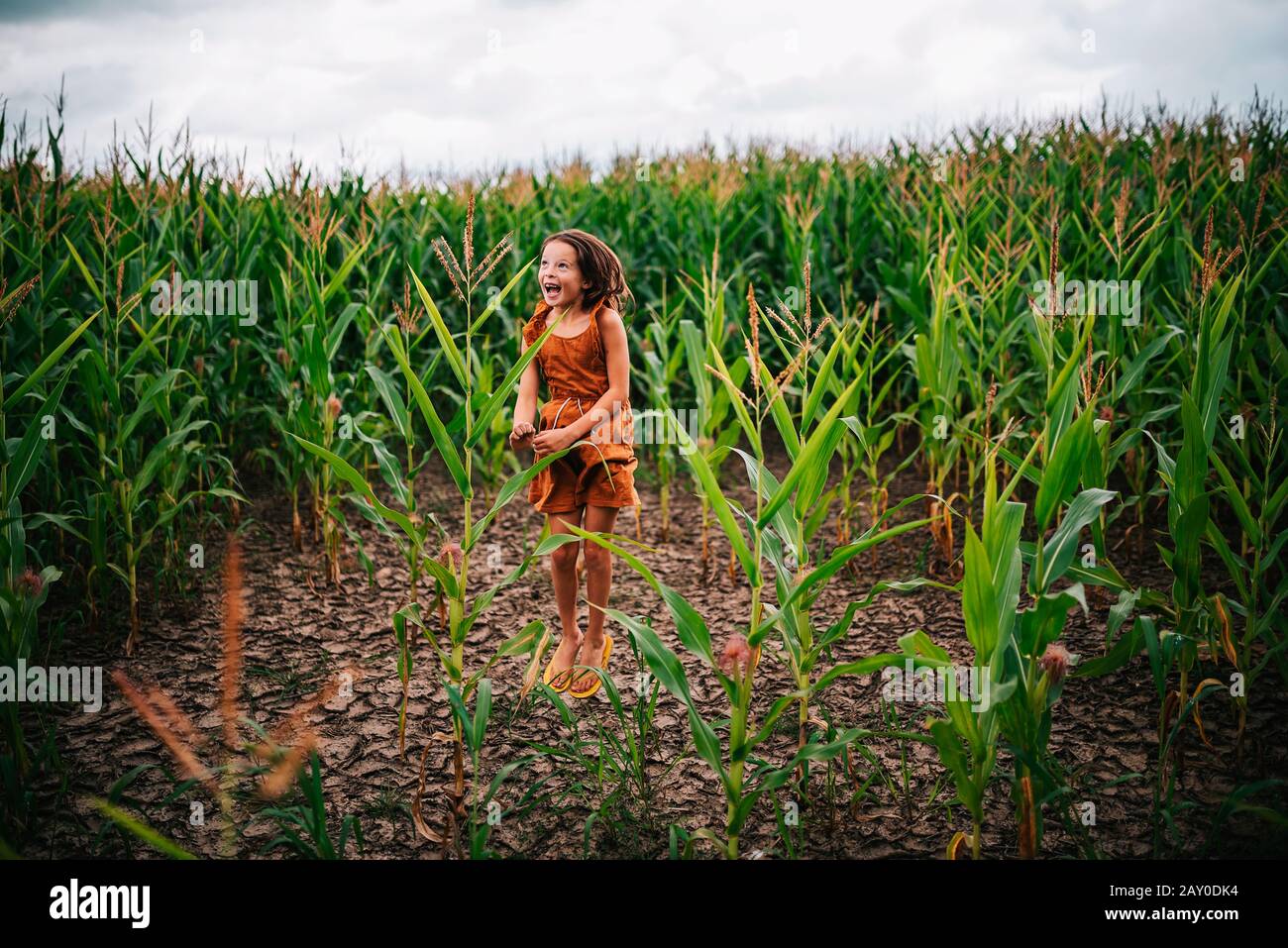 Girl in corn field hi-res stock photography and images - Alamy