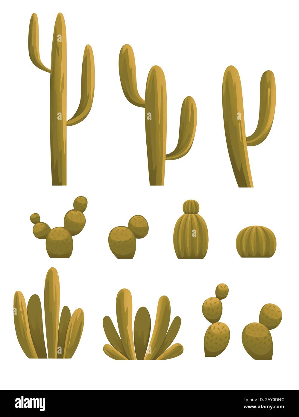 Set of desert or home cactus plants succulent houseplants flat vector ...
