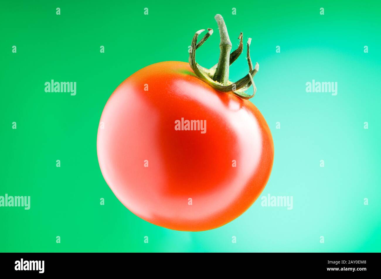 Red tomato against gradient background Stock Photo - Alamy
