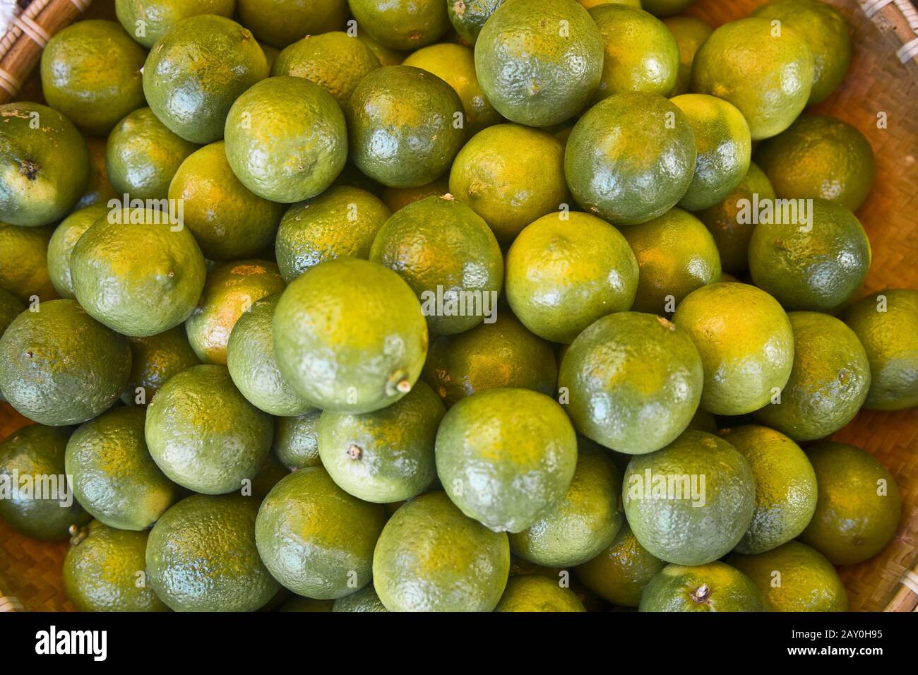 Citrus limetta hi-res stock photography and images - Alamy