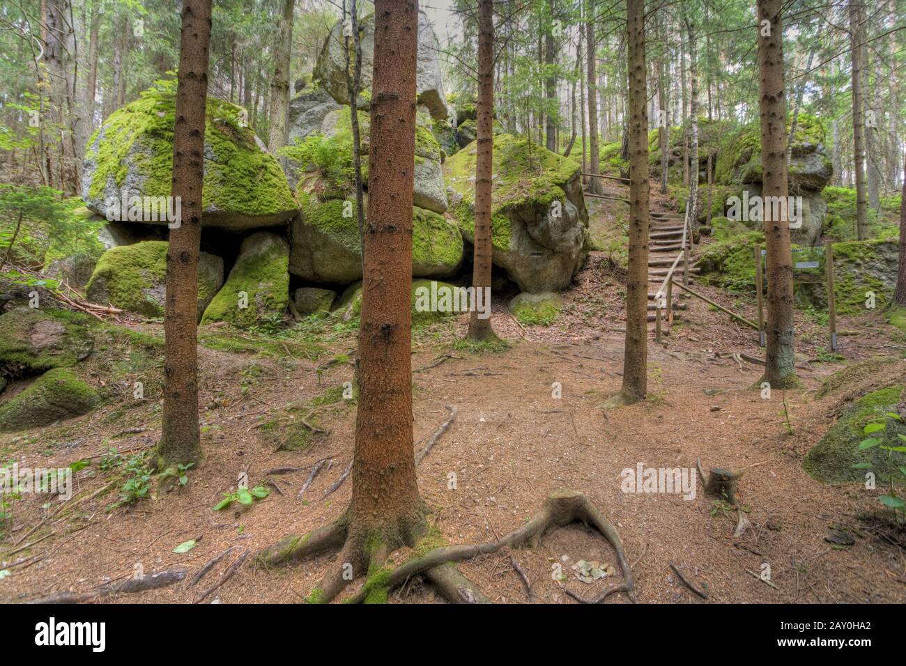 Wobble hi-res stock photography and images - Alamy