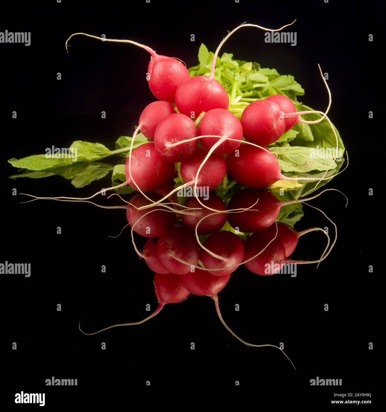 Radish (Raphanus sativus) - radish (Raphanus sativus Stock Photo - Alamy