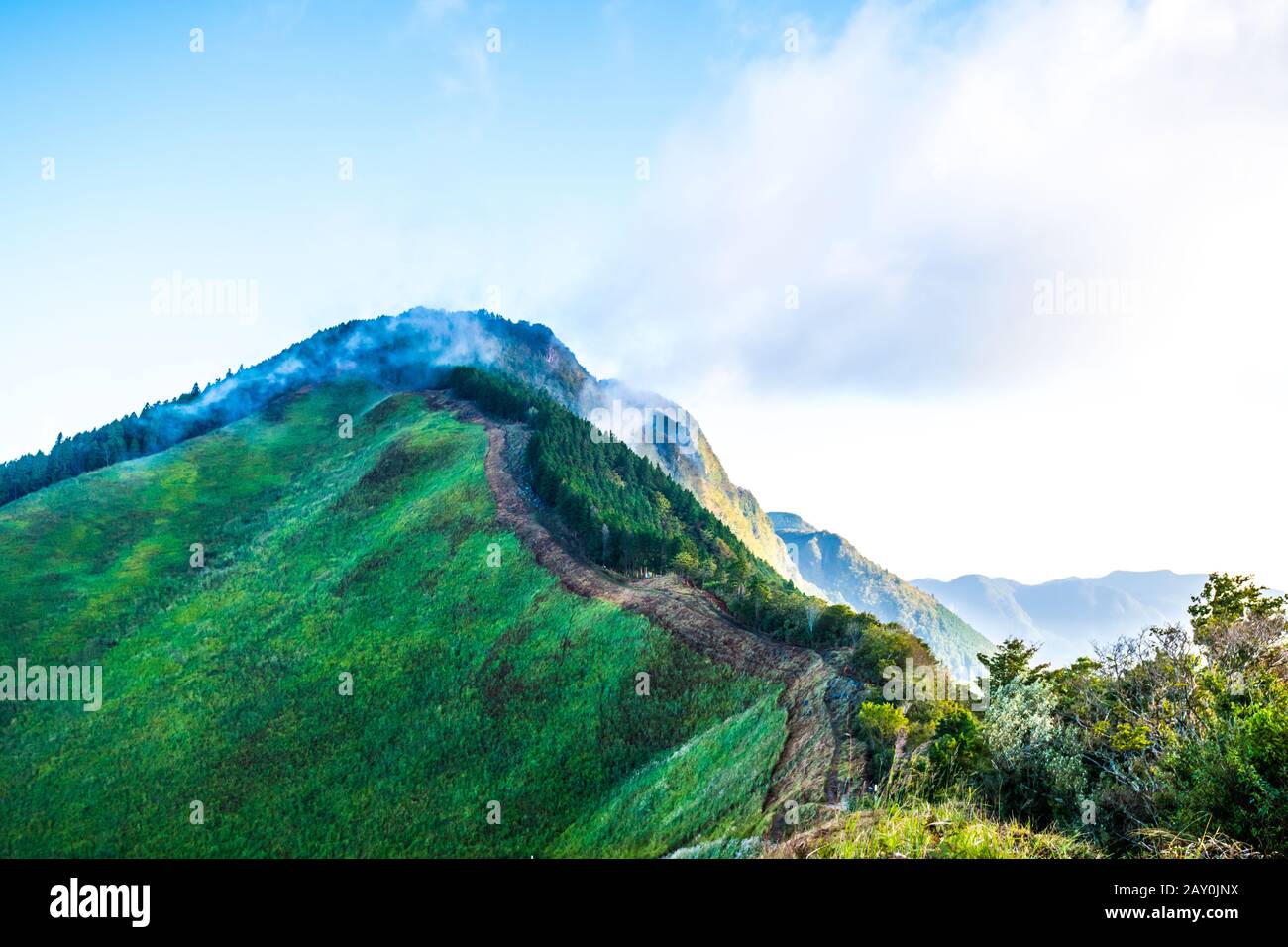 Soni plateau japanese grass soni hi-res stock photography and images ...