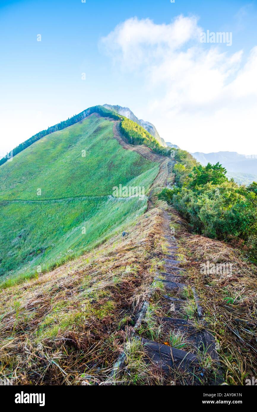 Soni plateau japanese grass soni hi-res stock photography and images ...
