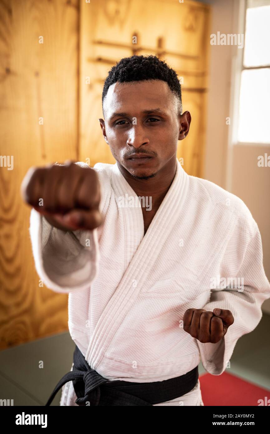 Judoka striking a pose in a gym Stock Photo - Alamy