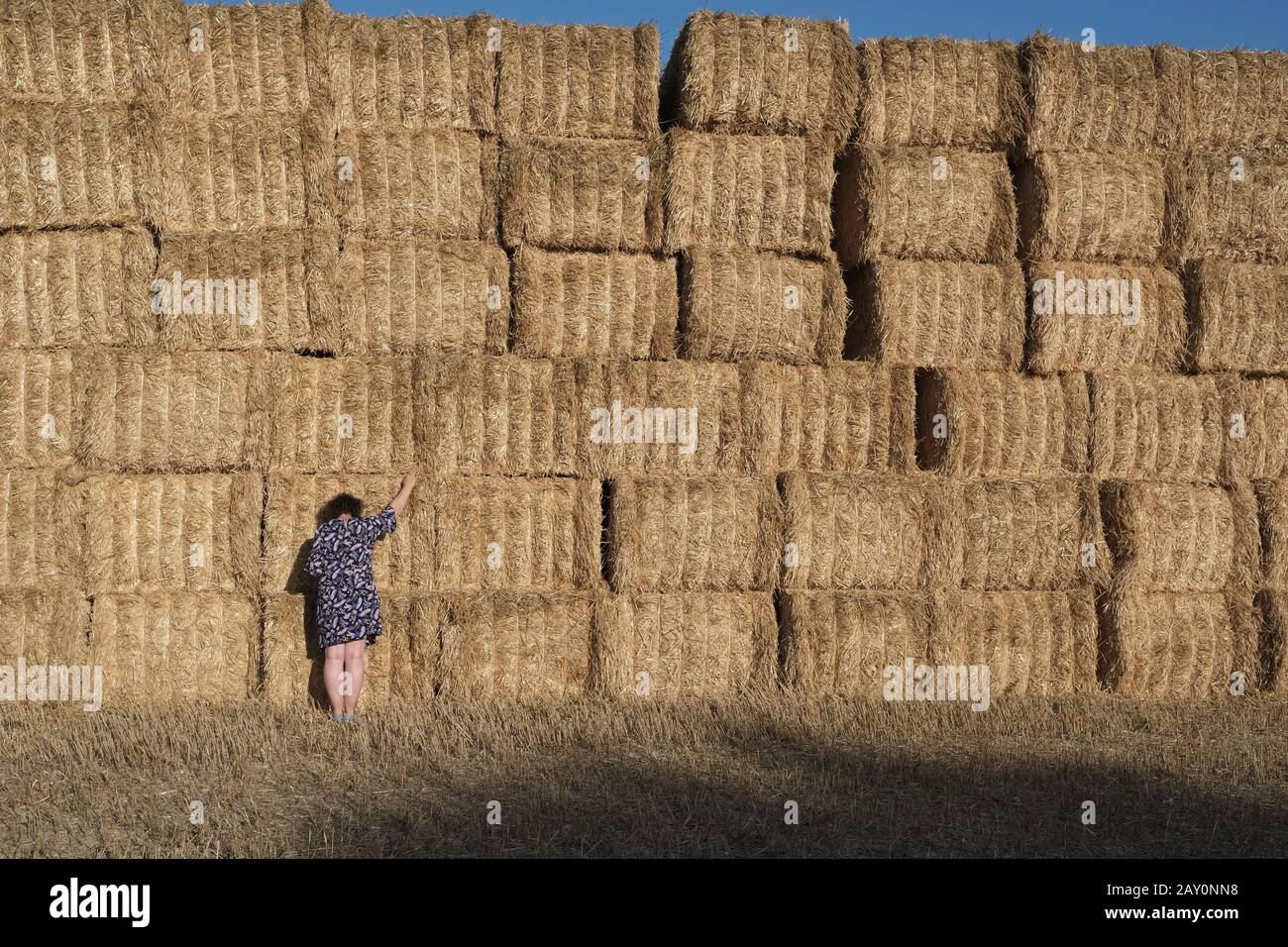 Person in hay hi-res stock photography and images - Alamy