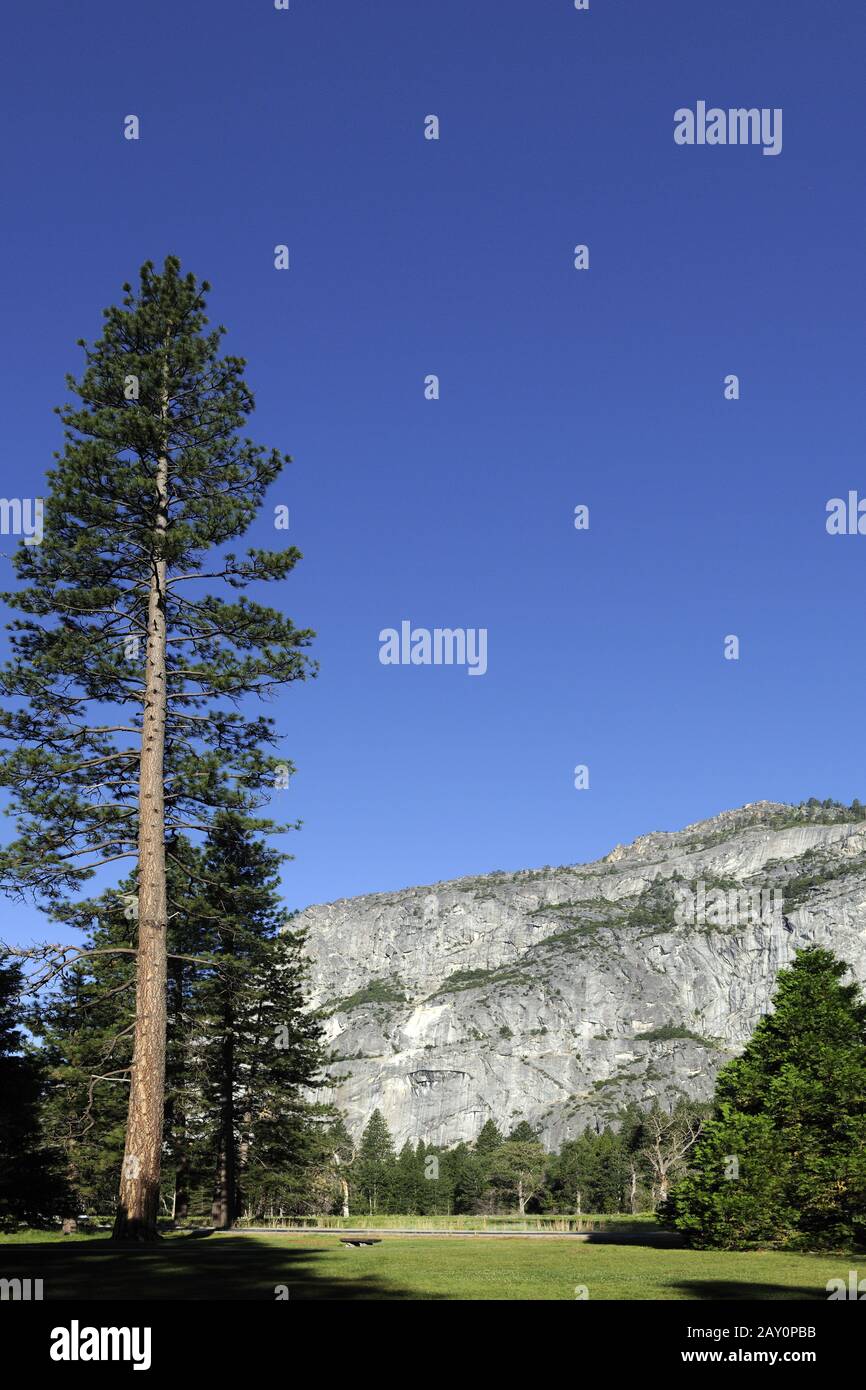 typical landscape form in Yosemite National Park, California Stock ...