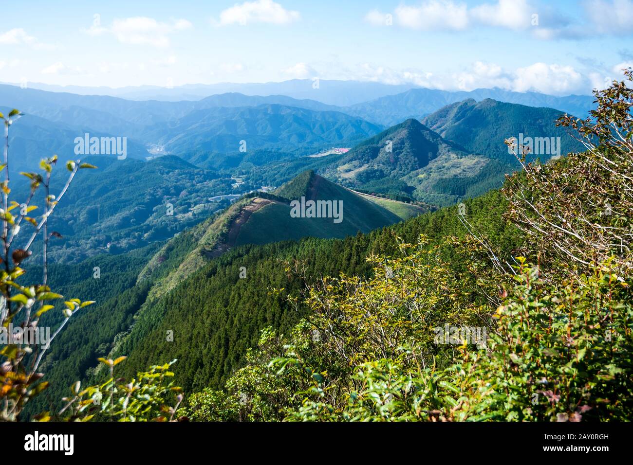 Soni plateau japanese grass soni hi-res stock photography and images ...