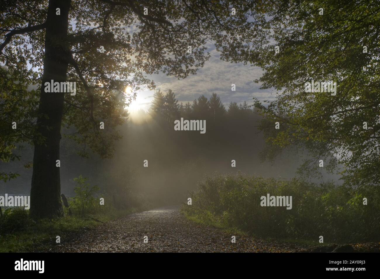Autum Impresson in Germany, Central German Uplands Stock Photo - Alamy