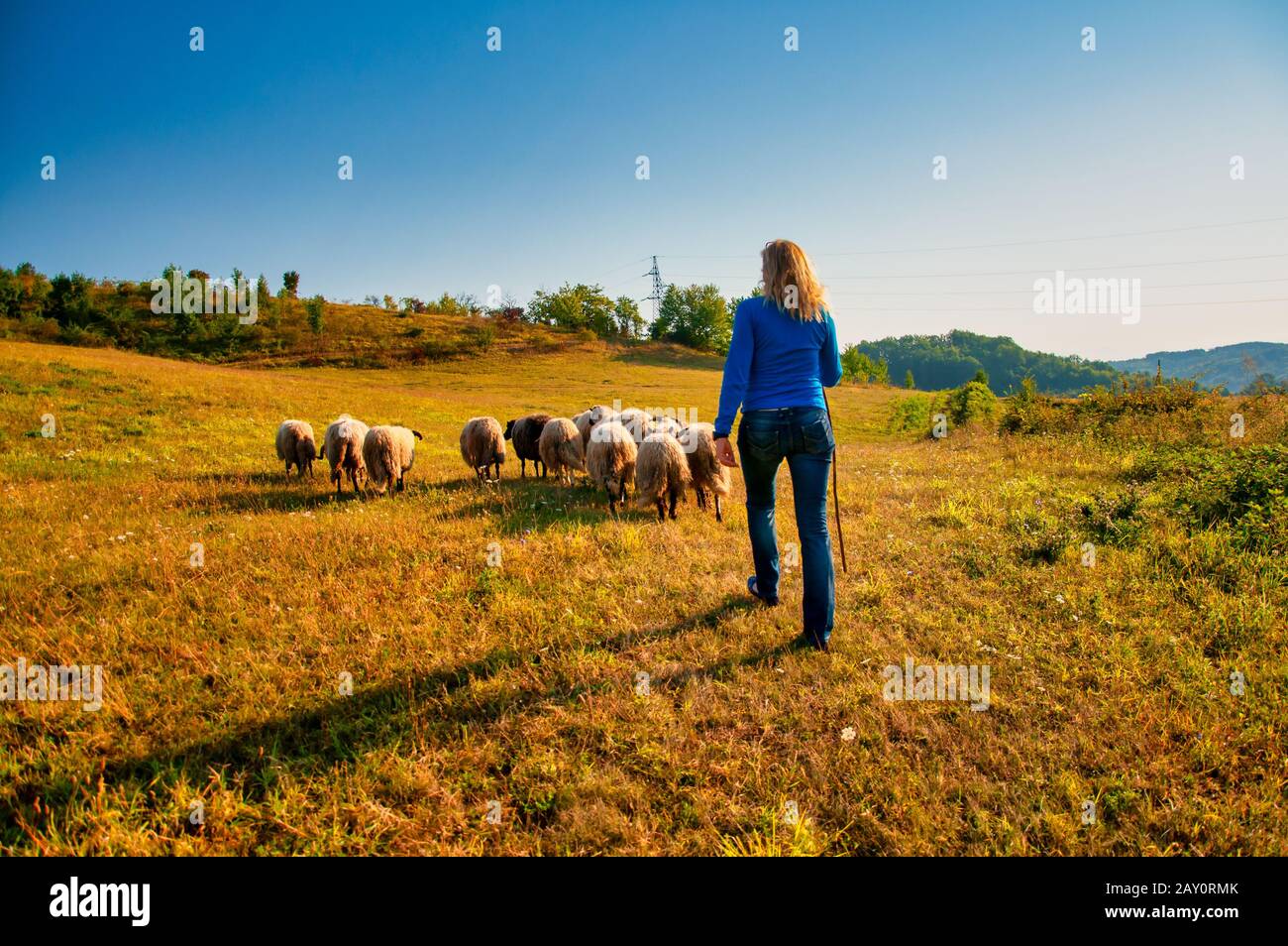 Woman sheep herder hi-res stock photography and images - Alamy