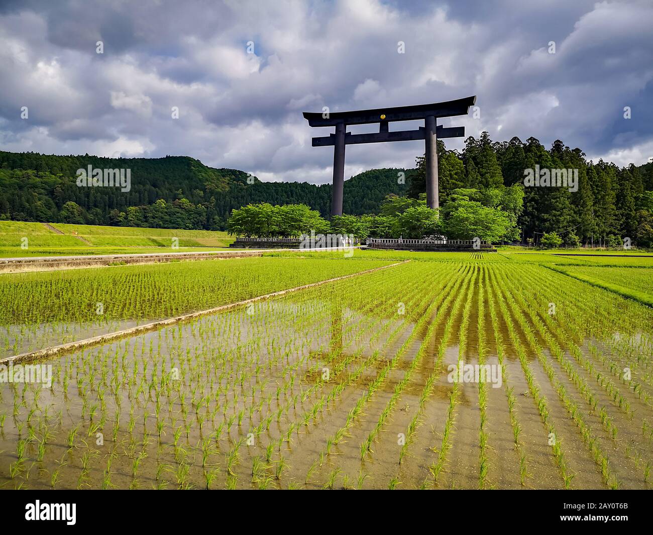 Largest torii in japan hi-res stock photography and images - Alamy