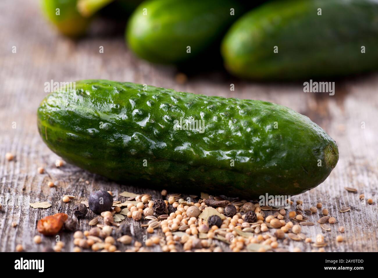 Gherkins pickled with mustard seed hi-res stock photography and images ...