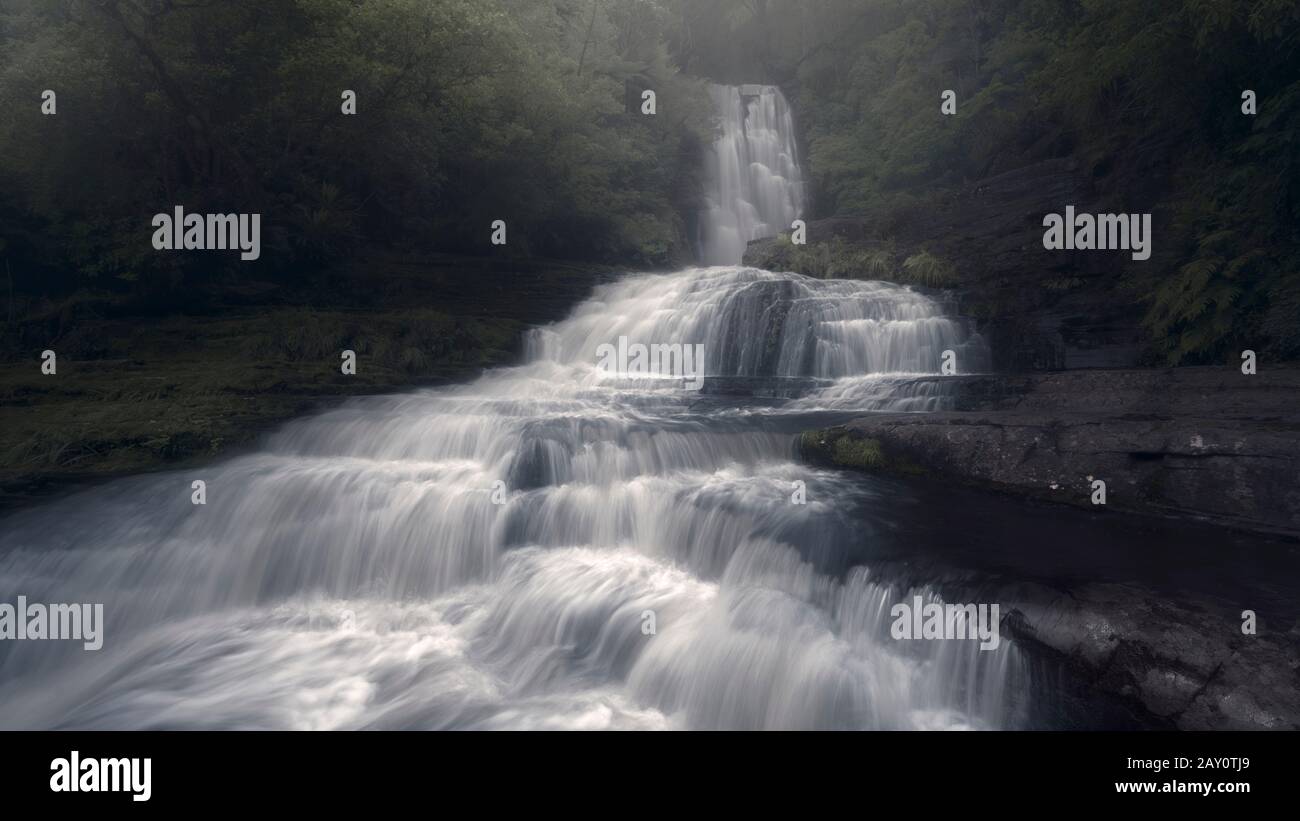 Fast flowing river and waterfall in a lush forest, New Zealand Stock ...