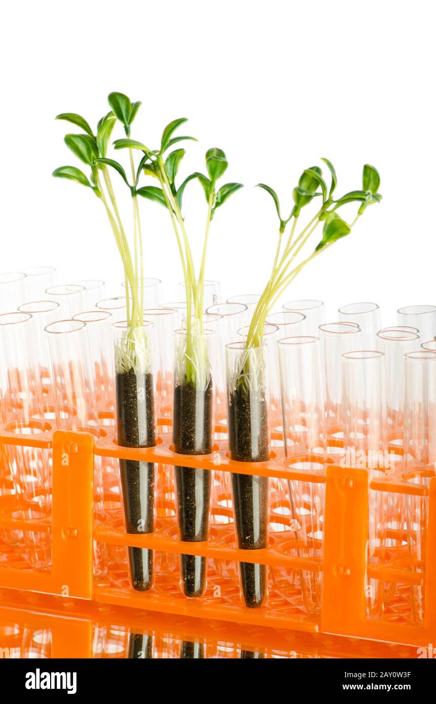 Technological experiment hi-res stock photography and images - Alamy