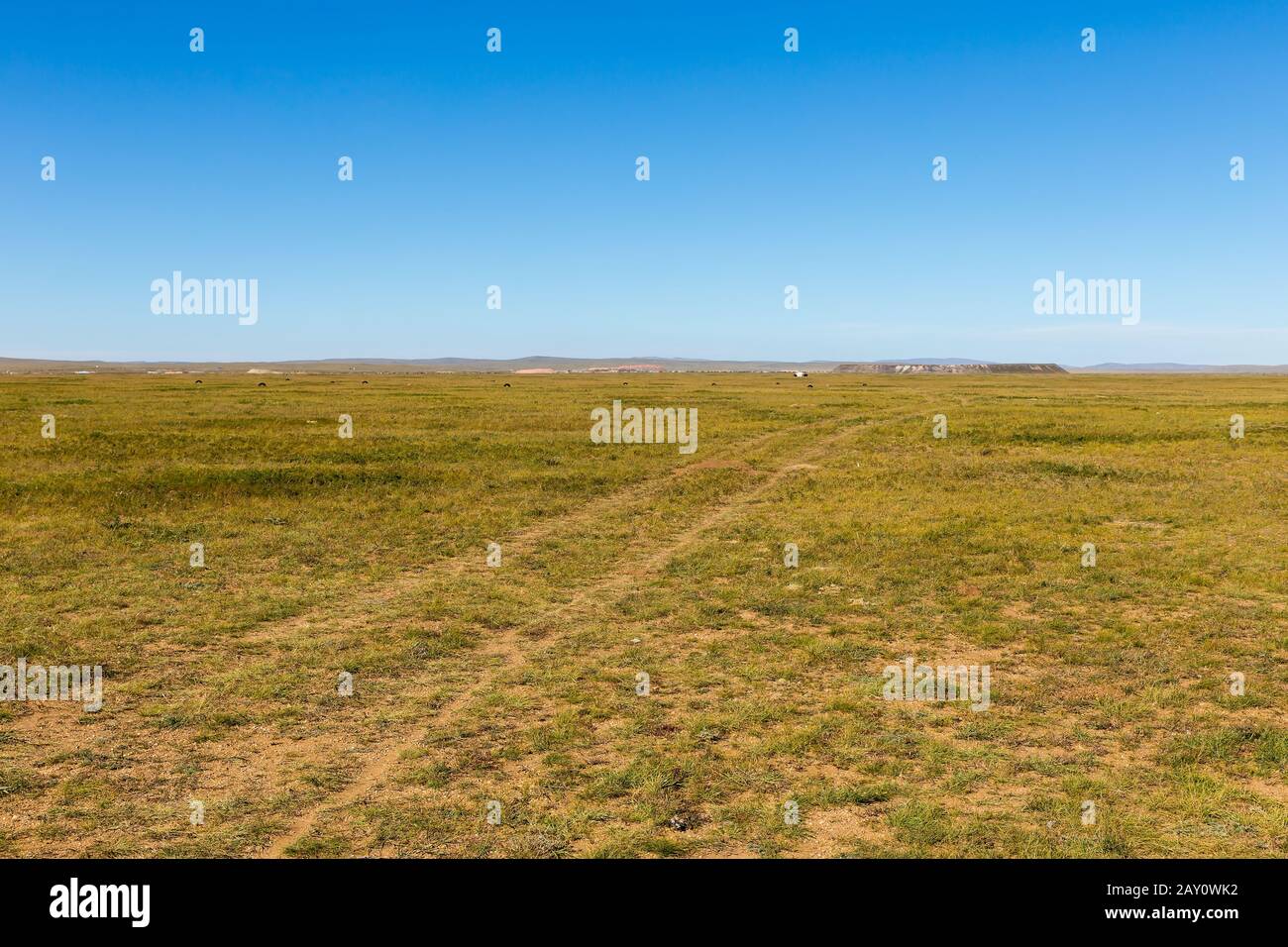 Mongolian steppe, road in the field, Mongolian steppe with green grass ...