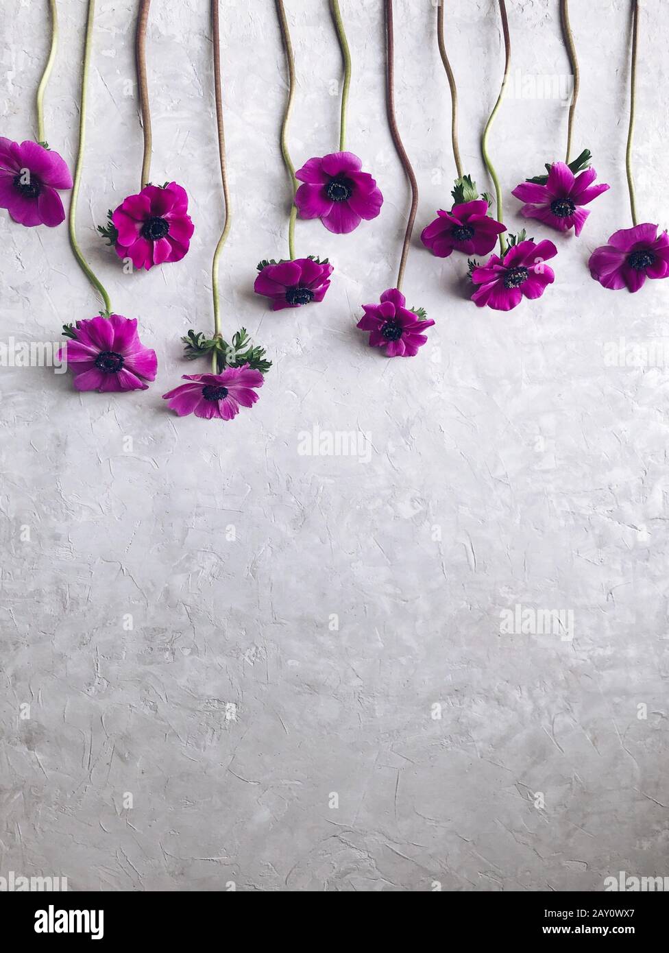 Gray And Pink Flower Background