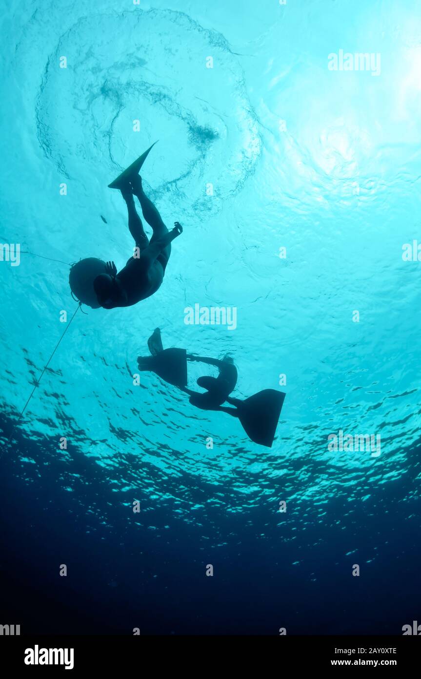 Dive below hi-res stock photography and images - Alamy