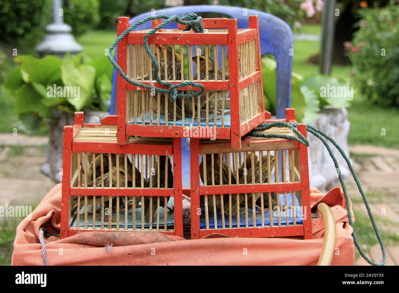 Wooden cages hi-res stock photography and images - Alamy