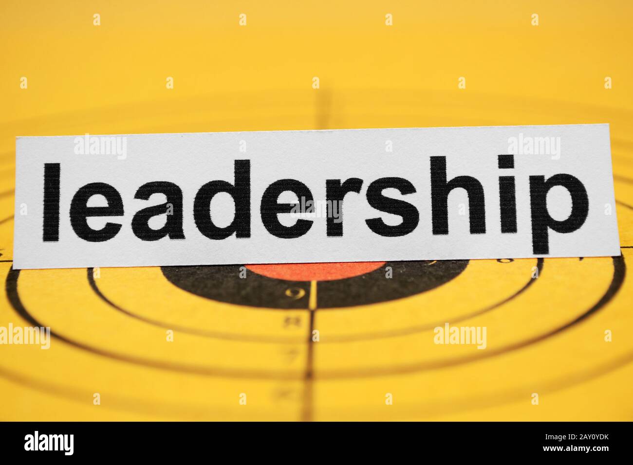 Human Resources Target Group People High Resolution Stock Photography ...