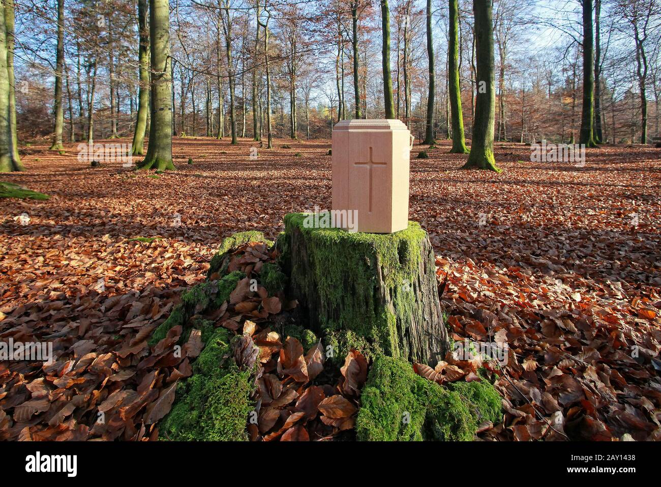 Forest cemetery hi-res stock photography and images - Alamy