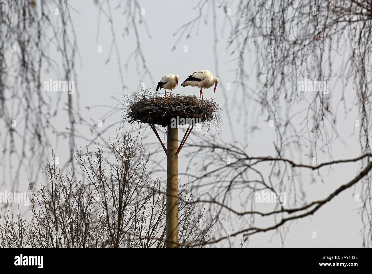 Stoerche hi-res stock photography and images - Alamy