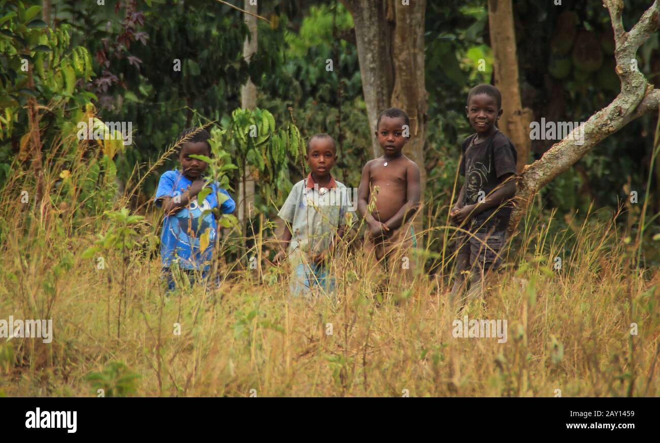 Kampala, Uganda - January 26, 2015: African village children play near ...