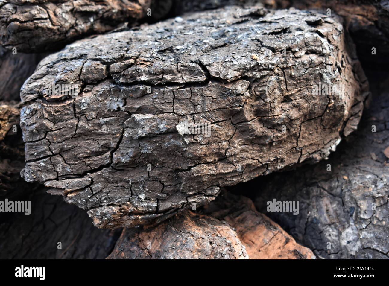 A pile of dry lignite coal ready for heating Stock Photo - Alamy