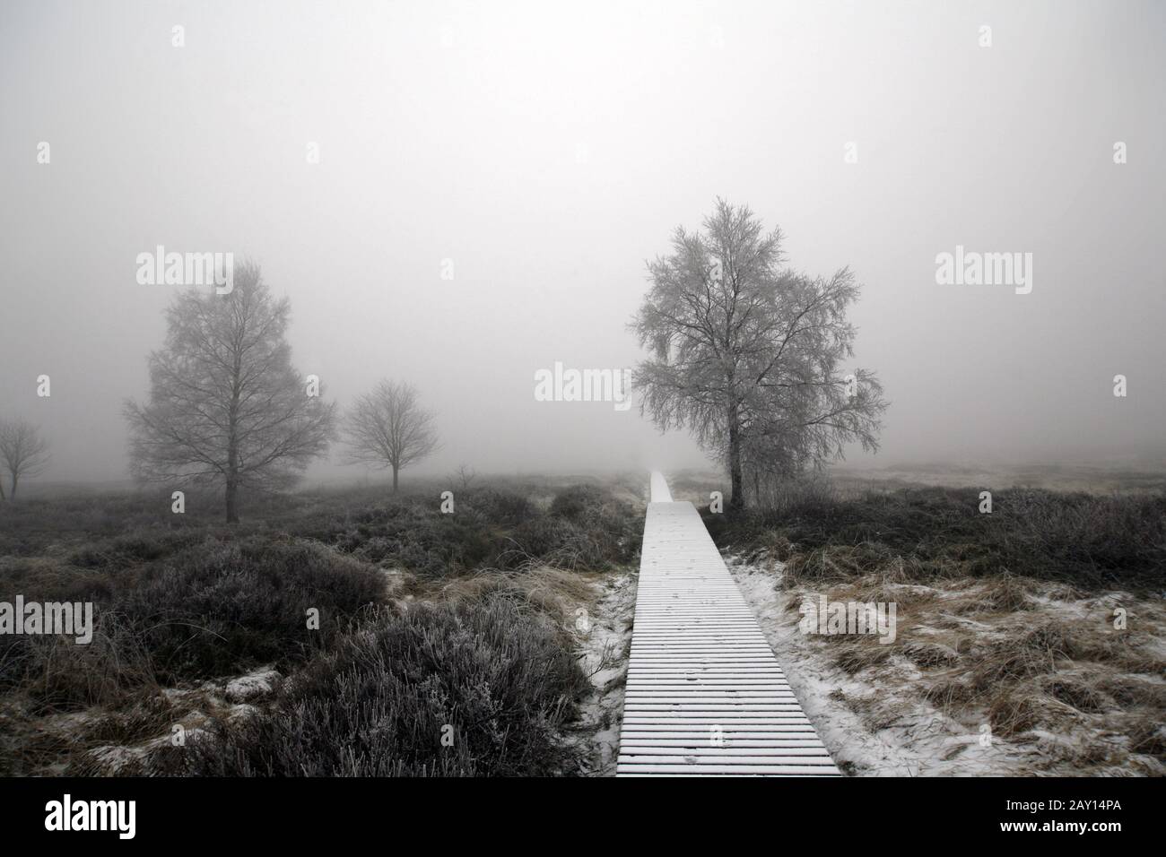 Winter in the High Fens Stock Photo - Alamy