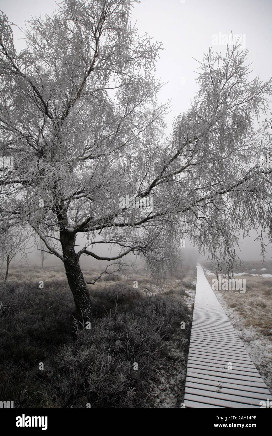 Winter in the High Fens Stock Photo - Alamy