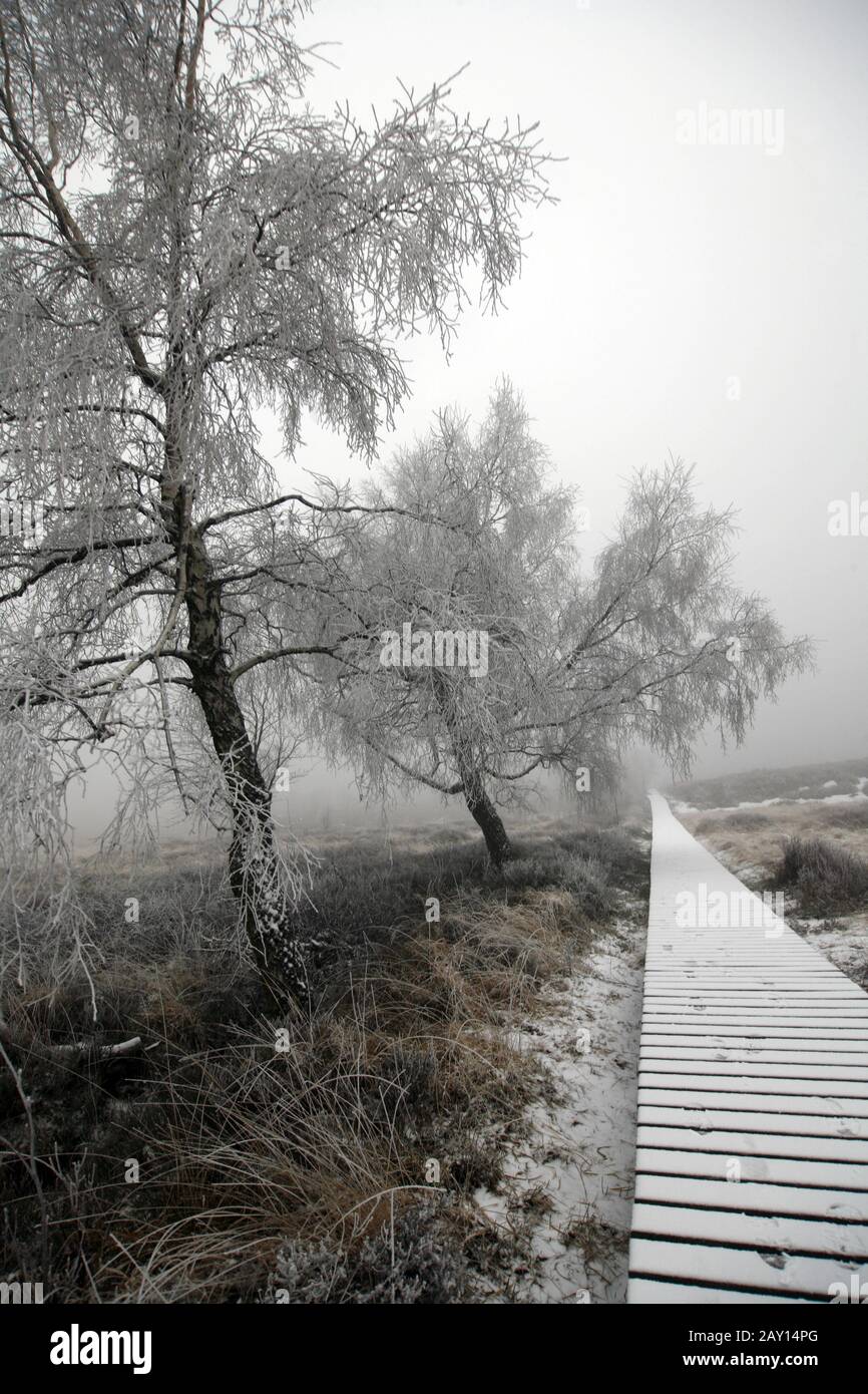 Winter in the High Fens Stock Photo - Alamy