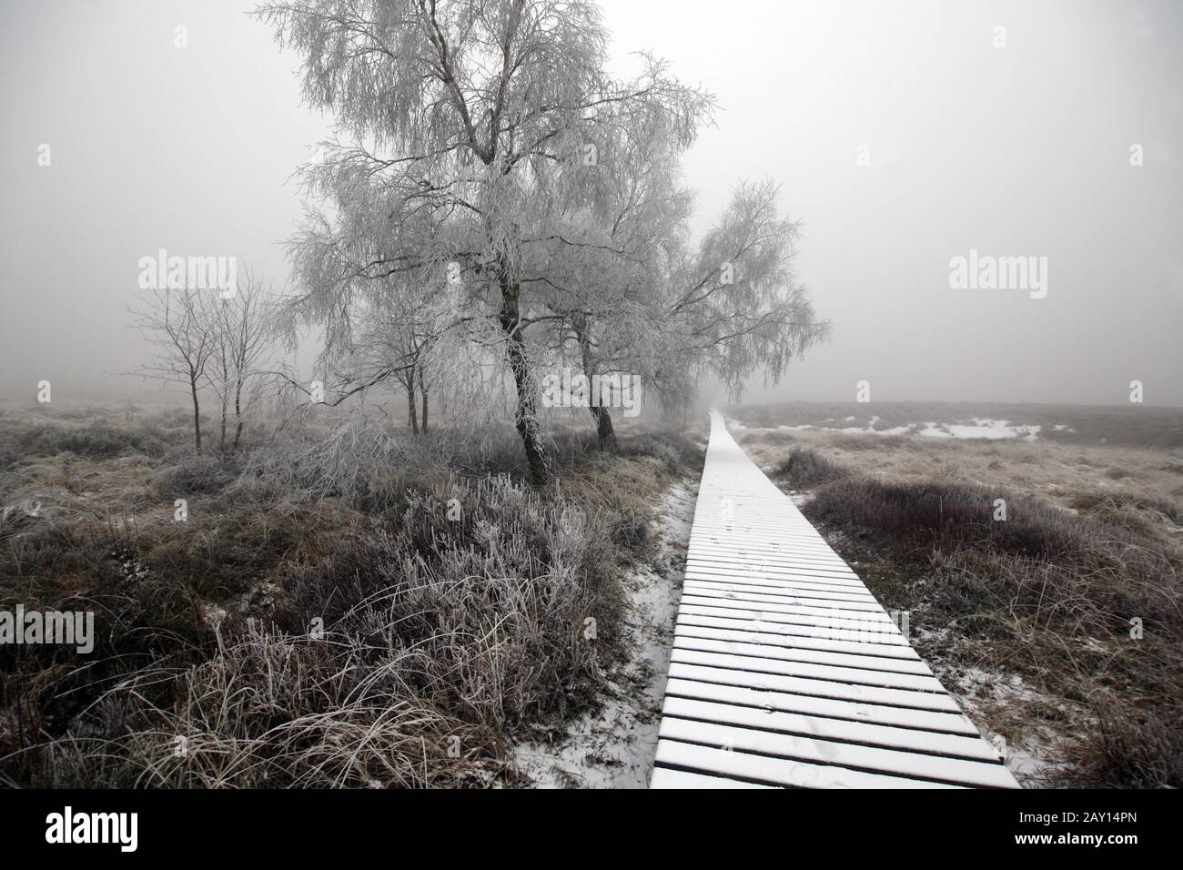 Winter in the High Fens Stock Photo - Alamy