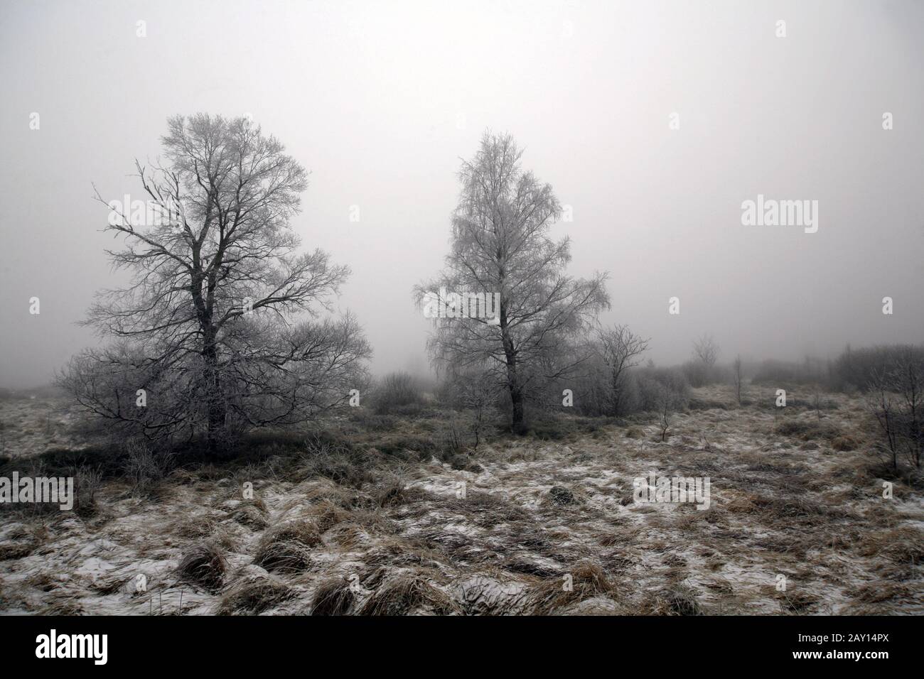 Winter in the High Fens Stock Photo - Alamy