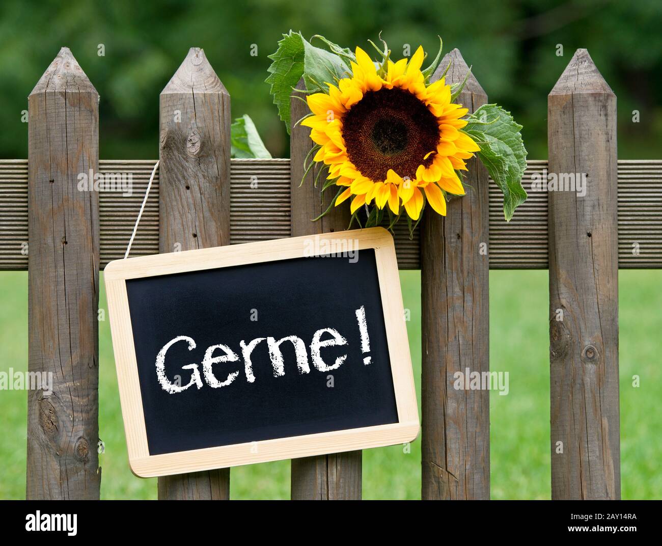 Gerne hi-res stock photography and images - Alamy