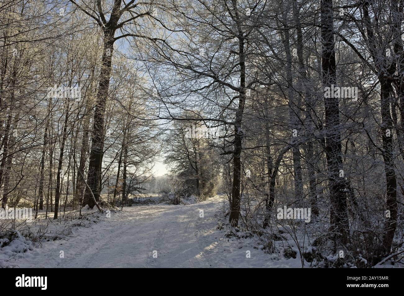 Winter at Lower Rhine, Germany Stock Photo - Alamy