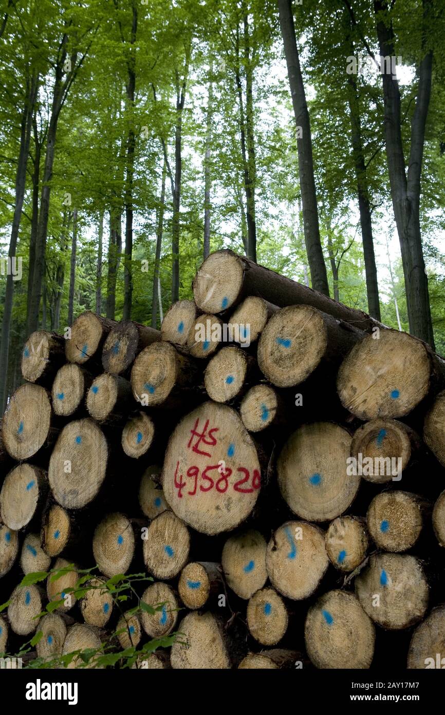 Used for timber hi-res stock photography and images - Alamy