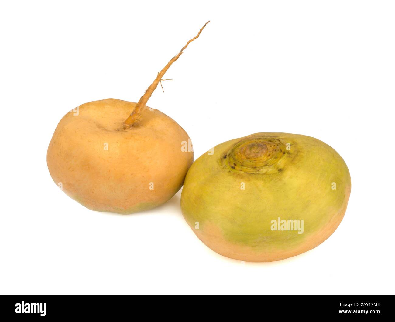 Yellow radish isolated on white background Stock Photo - Alamy