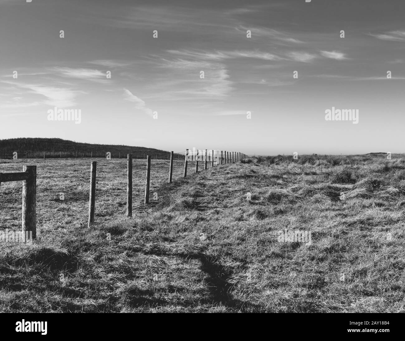 Fence through pasture and farmland, open space Stock Photo - Alamy